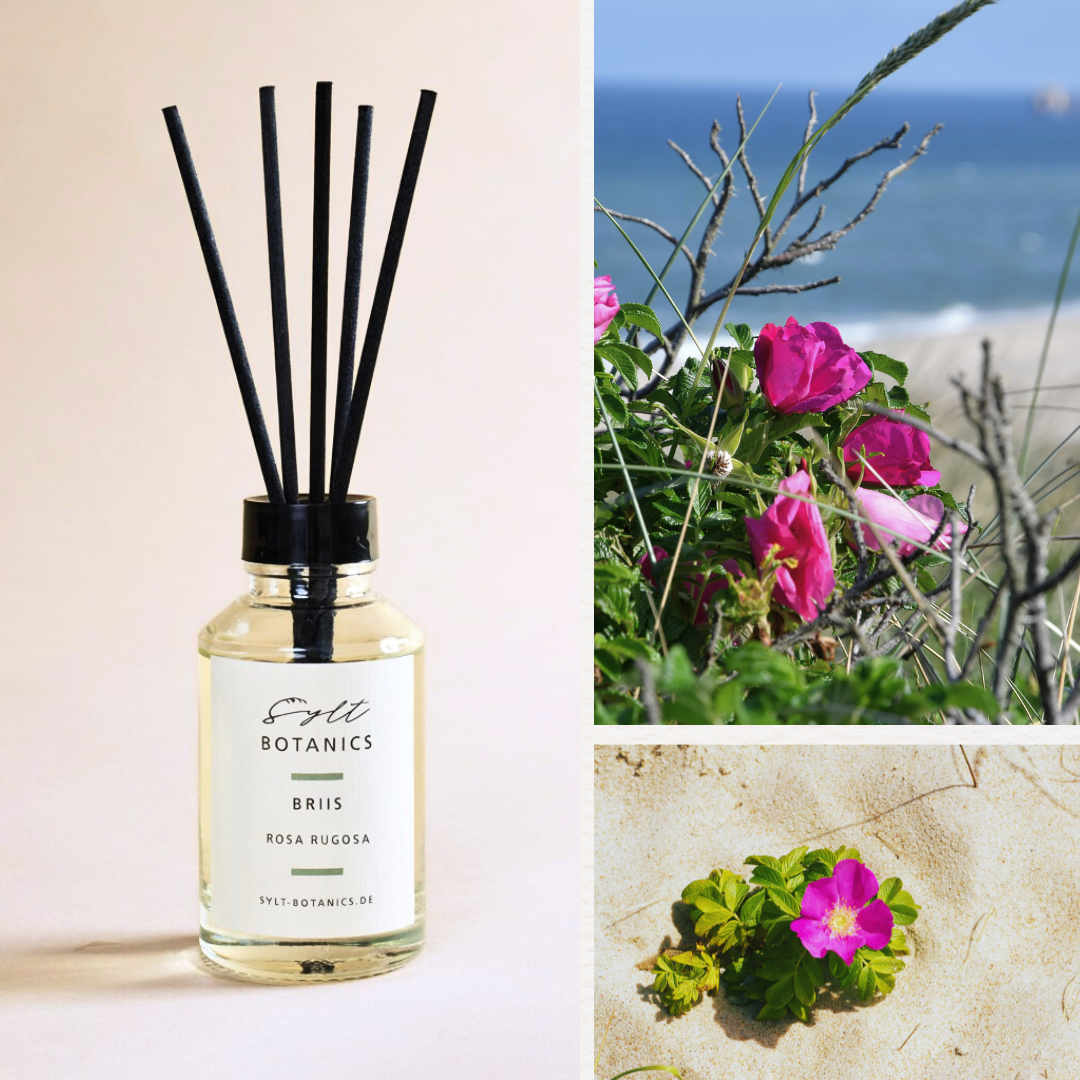 RAUMDIFFUSER ROSA RUGOSA – SYLT BOTANICS
